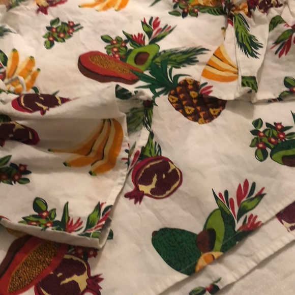 Zara | Tops | Zara Fruit Top | Poshmark